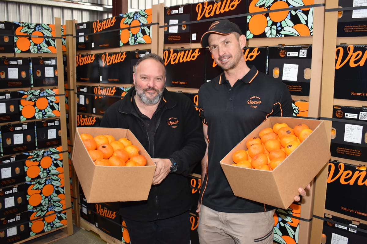 Meet your new favourite mandarin variety